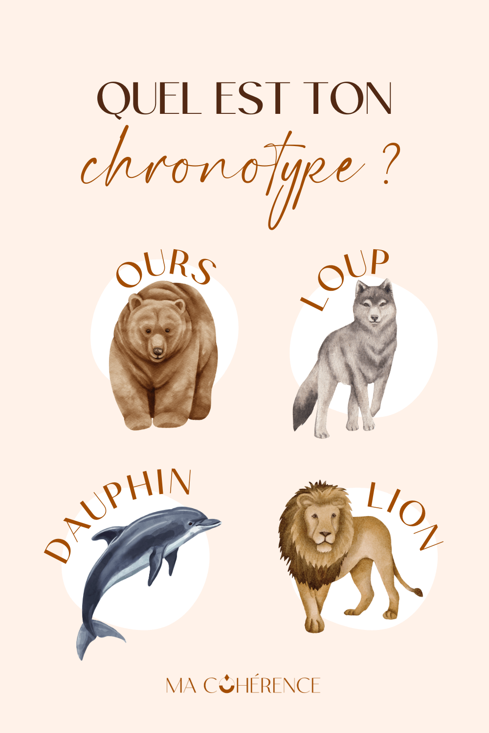 Découvrir son Chronotype pour Optimiser sa Vie - Ma Cohérence