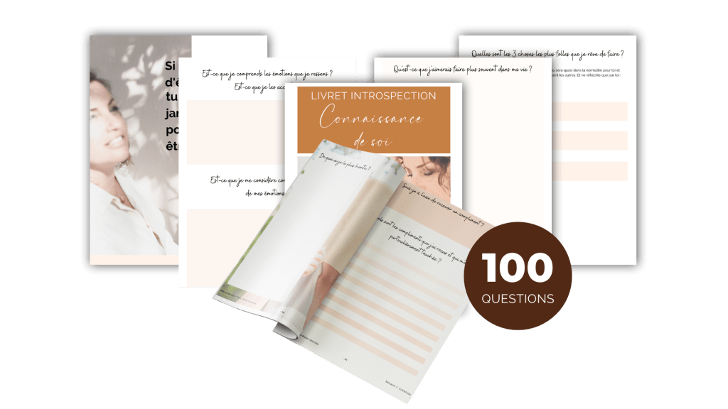 Carnet 100 questions d'introspection - Ma Cohérence
